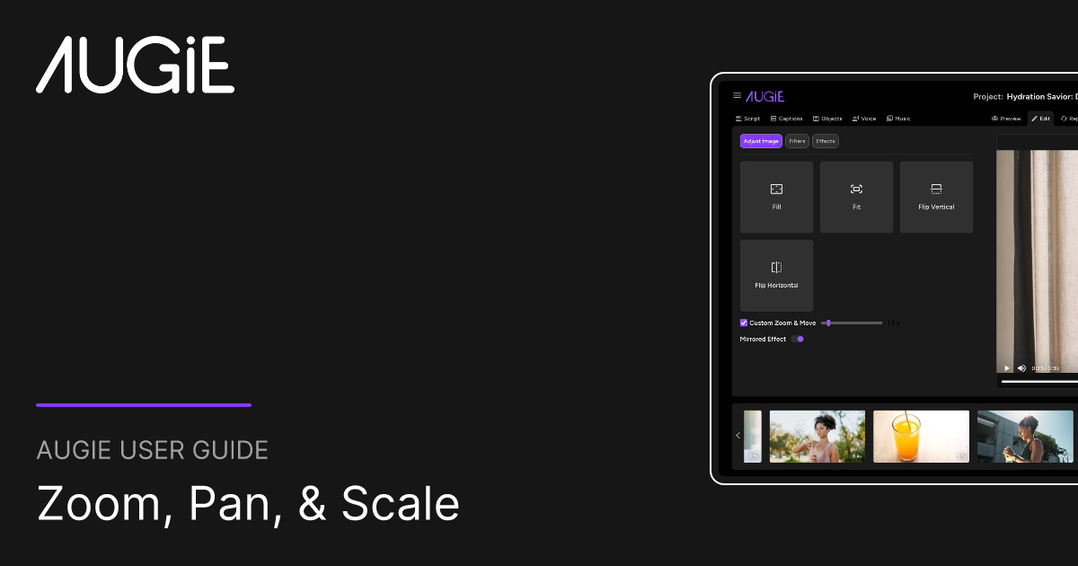 Zoom, Pan, & Scale | Augie User Guide