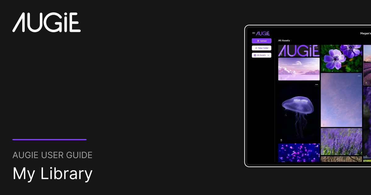 My Library | Augie User Guide